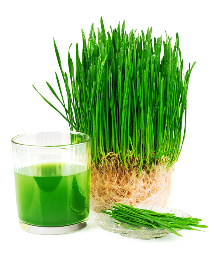 10 Powerful Green Foods For Weight Loss